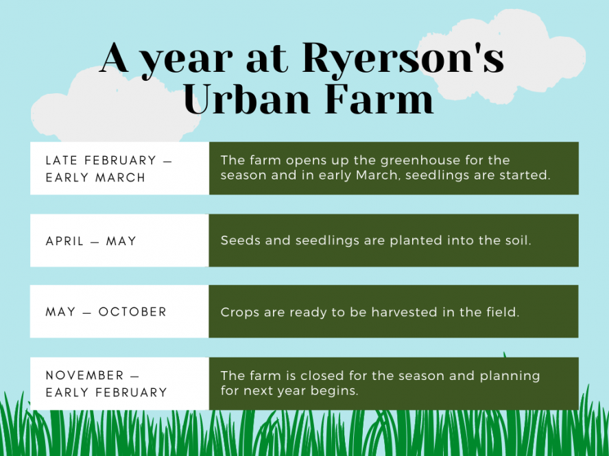 Ryerson’s rooftop farm to introduce Black and Indigenous food ...