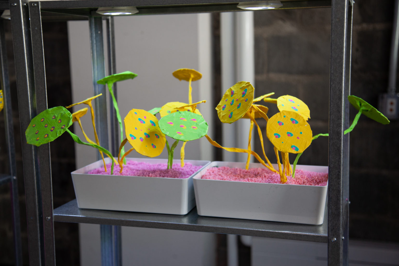 Artist captures ‘queer joy’ with Nuit Blanche installation – The Eyeopener