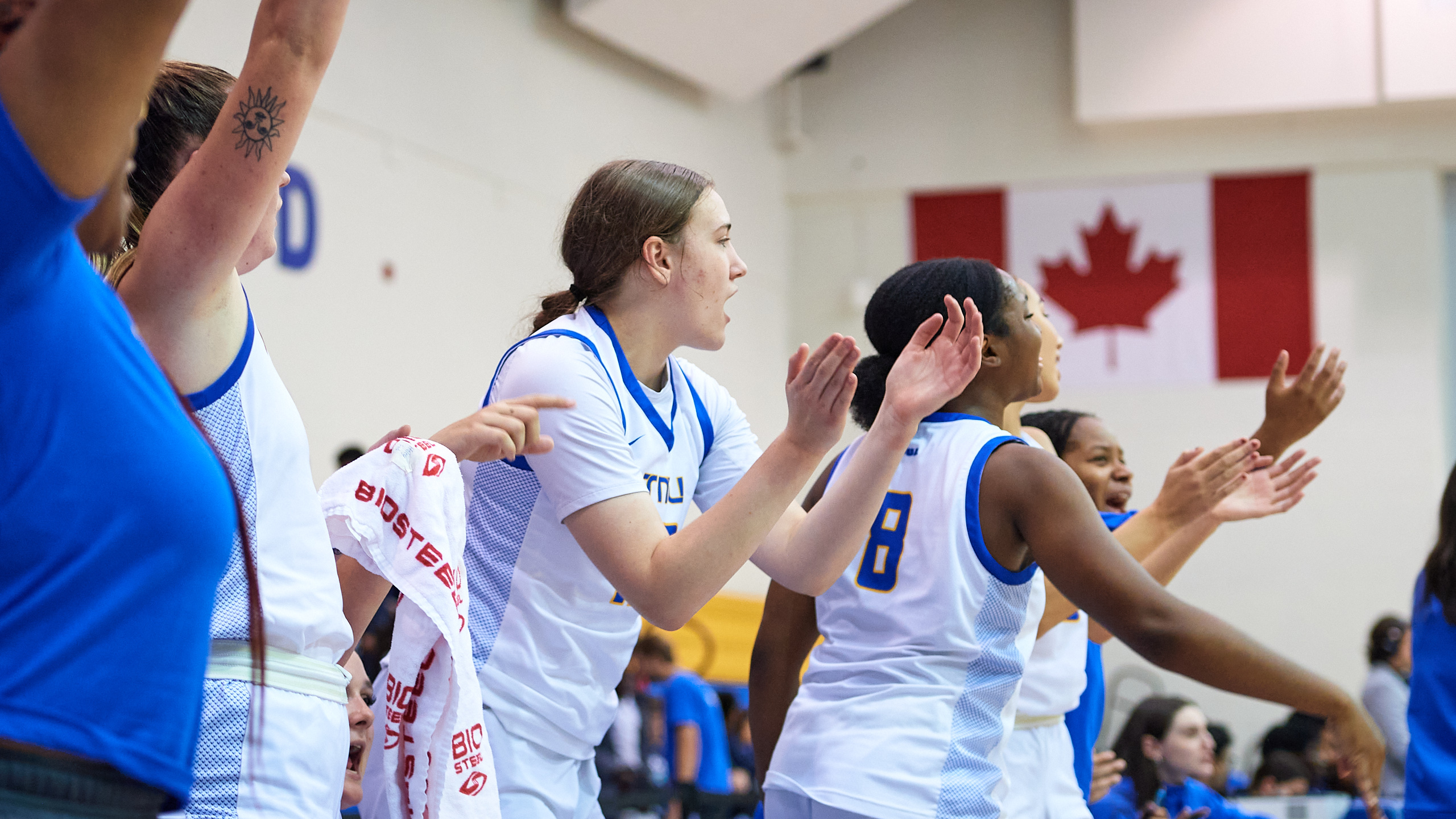 Bold ground Sea-Hawks, advance to tournament final – The Eyeopener