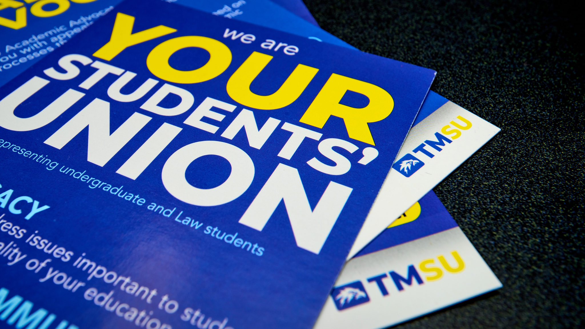 These are the TMSU 2025 fall by-election candidates – The Eyeopener