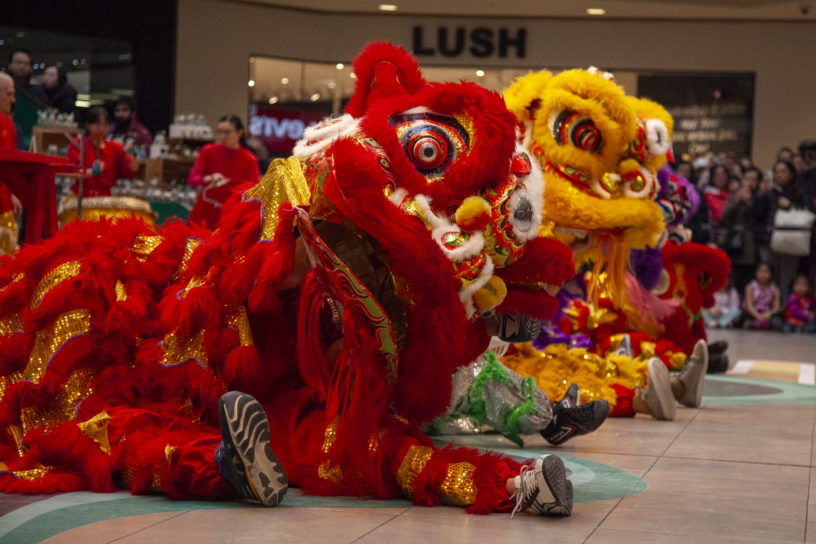 Leaping lion: The art, tradition and future of lion dancing – The Eyeopener