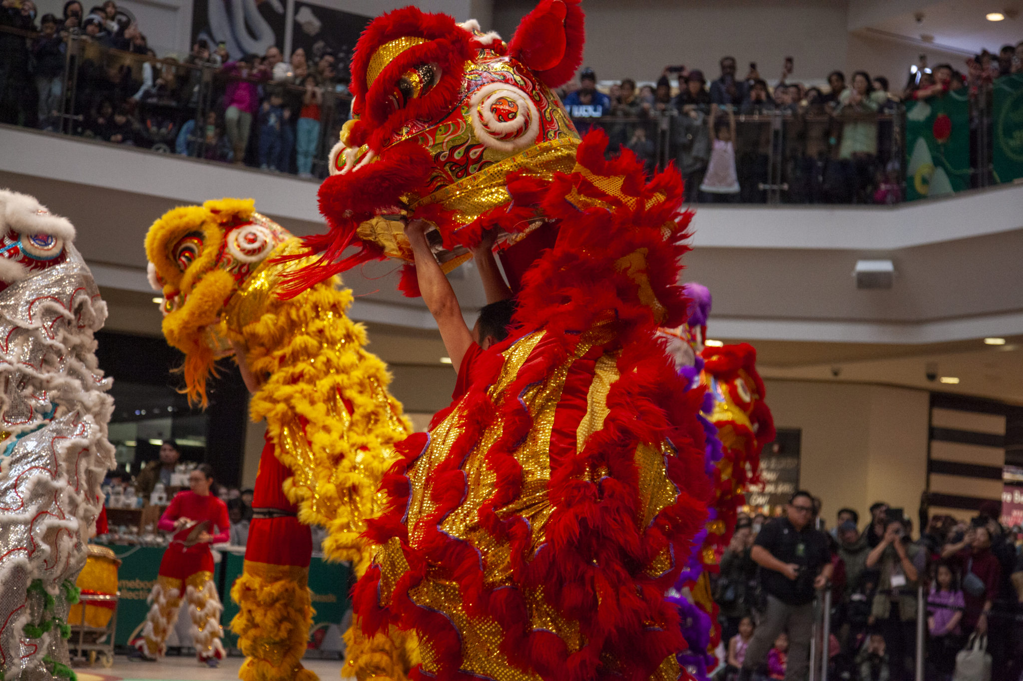 Leaping lion: The art, tradition and future of lion dancing – The Eyeopener