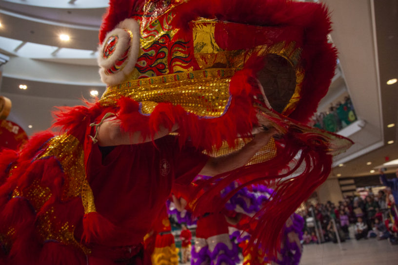 Leaping lion: The art, tradition and future of lion dancing – The Eyeopener