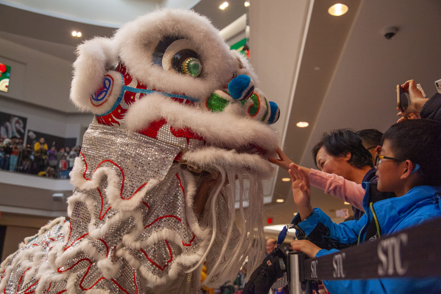 Leaping lion: The art, tradition and future of lion dancing – The Eyeopener