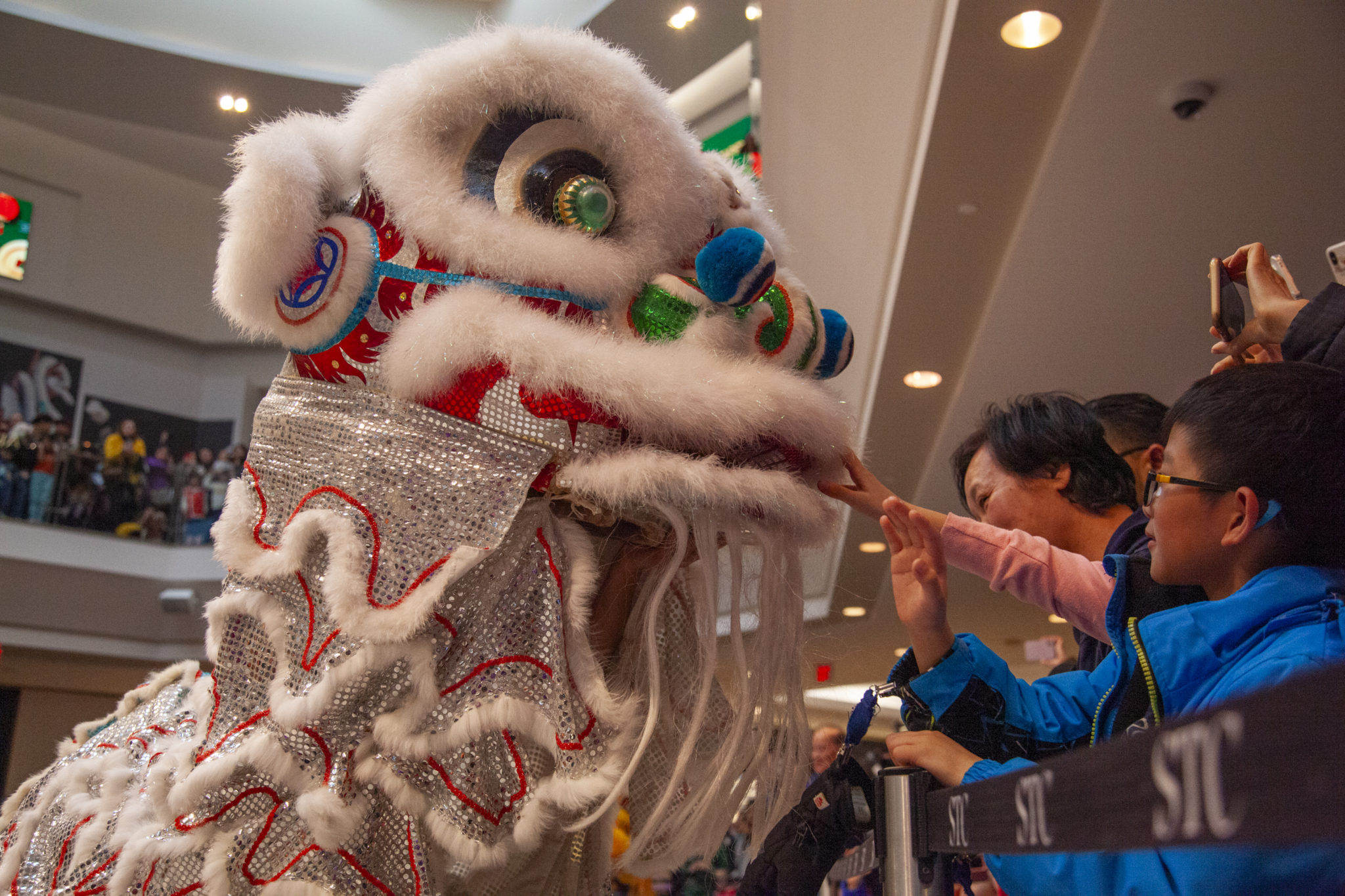 Leaping lion: The art, tradition and future of lion dancing – The Eyeopener
