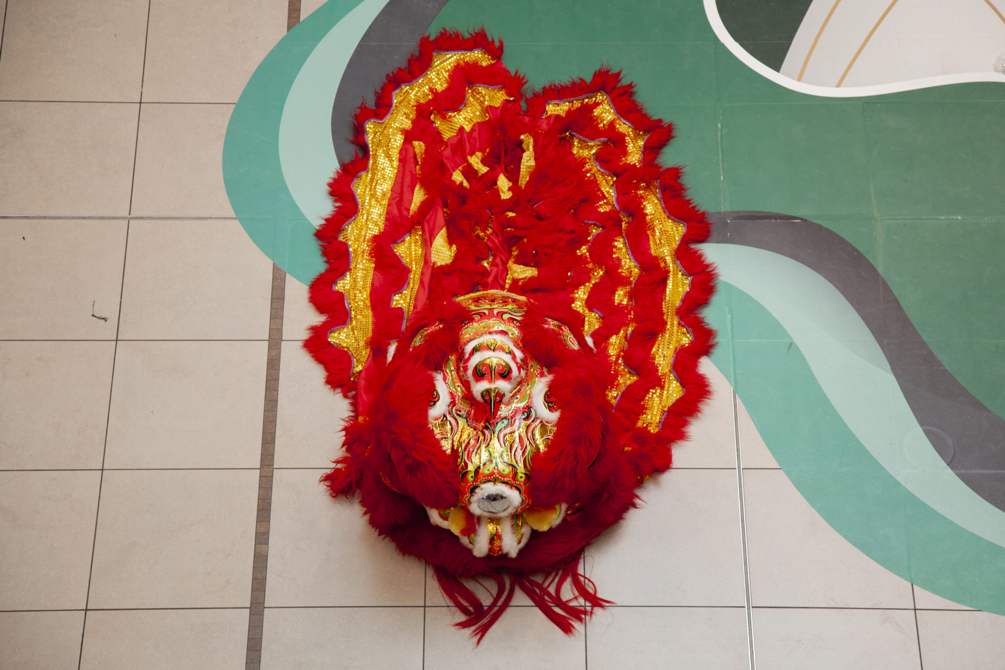 Leaping lion: The art, tradition and future of lion dancing – The Eyeopener
