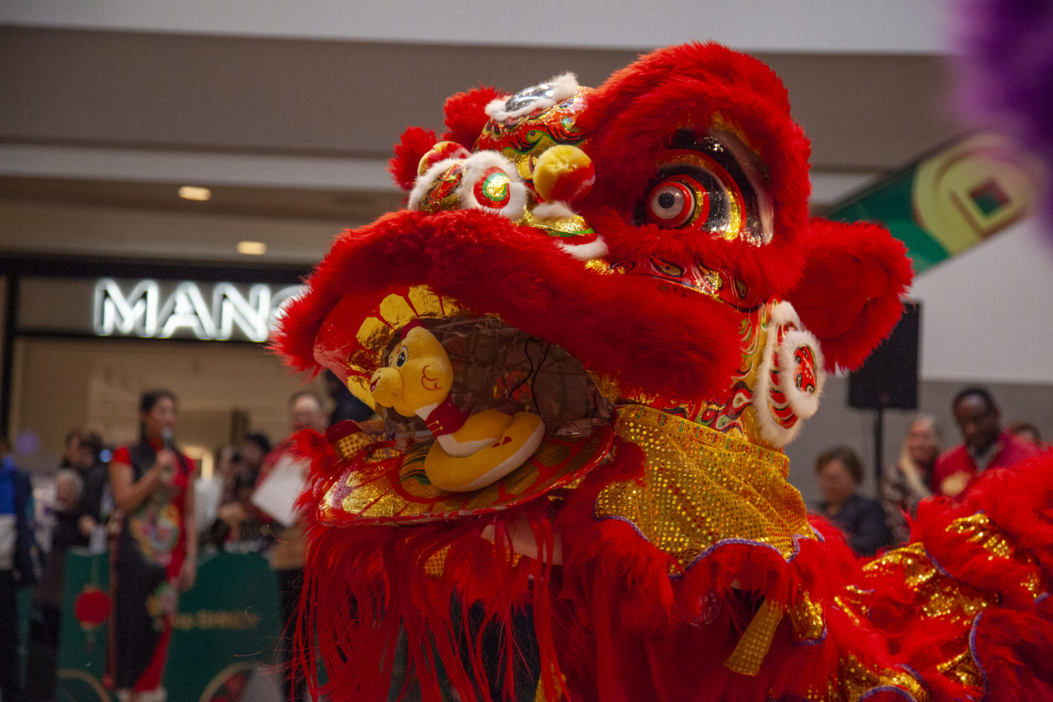 Leaping lion: The art, tradition and future of lion dancing – The Eyeopener