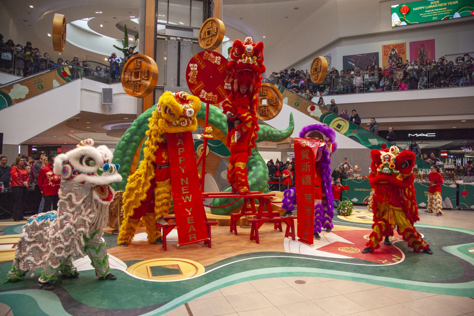 Leaping lion: The art, tradition and future of lion dancing – The Eyeopener
