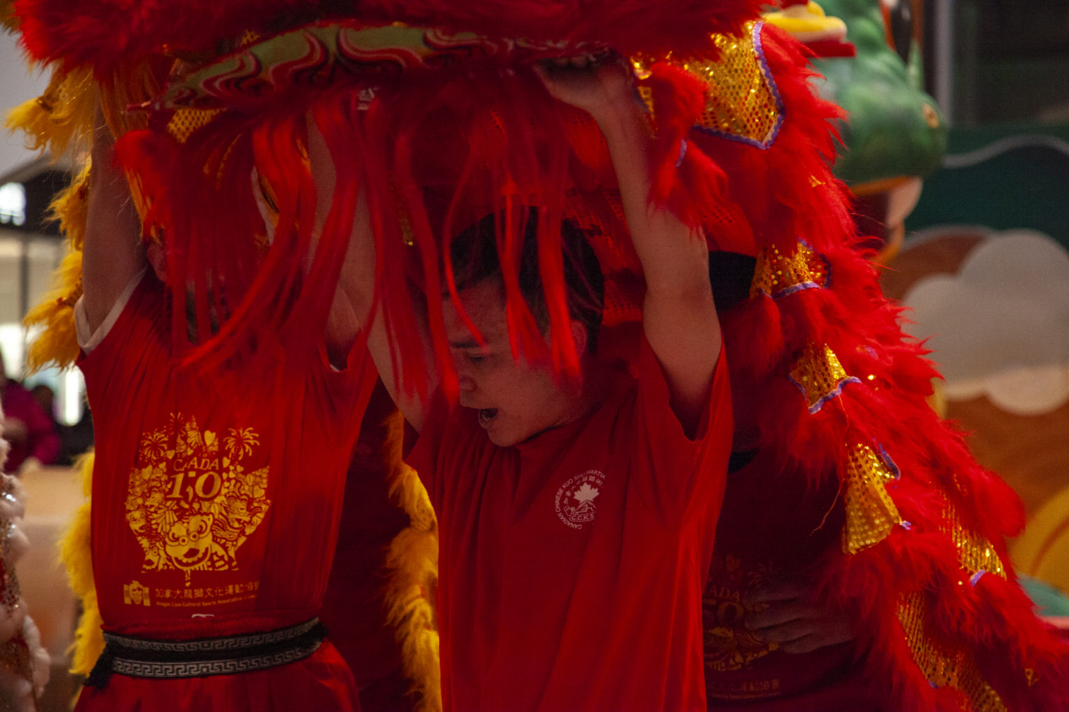 Leaping lion: The art, tradition and future of lion dancing – The Eyeopener