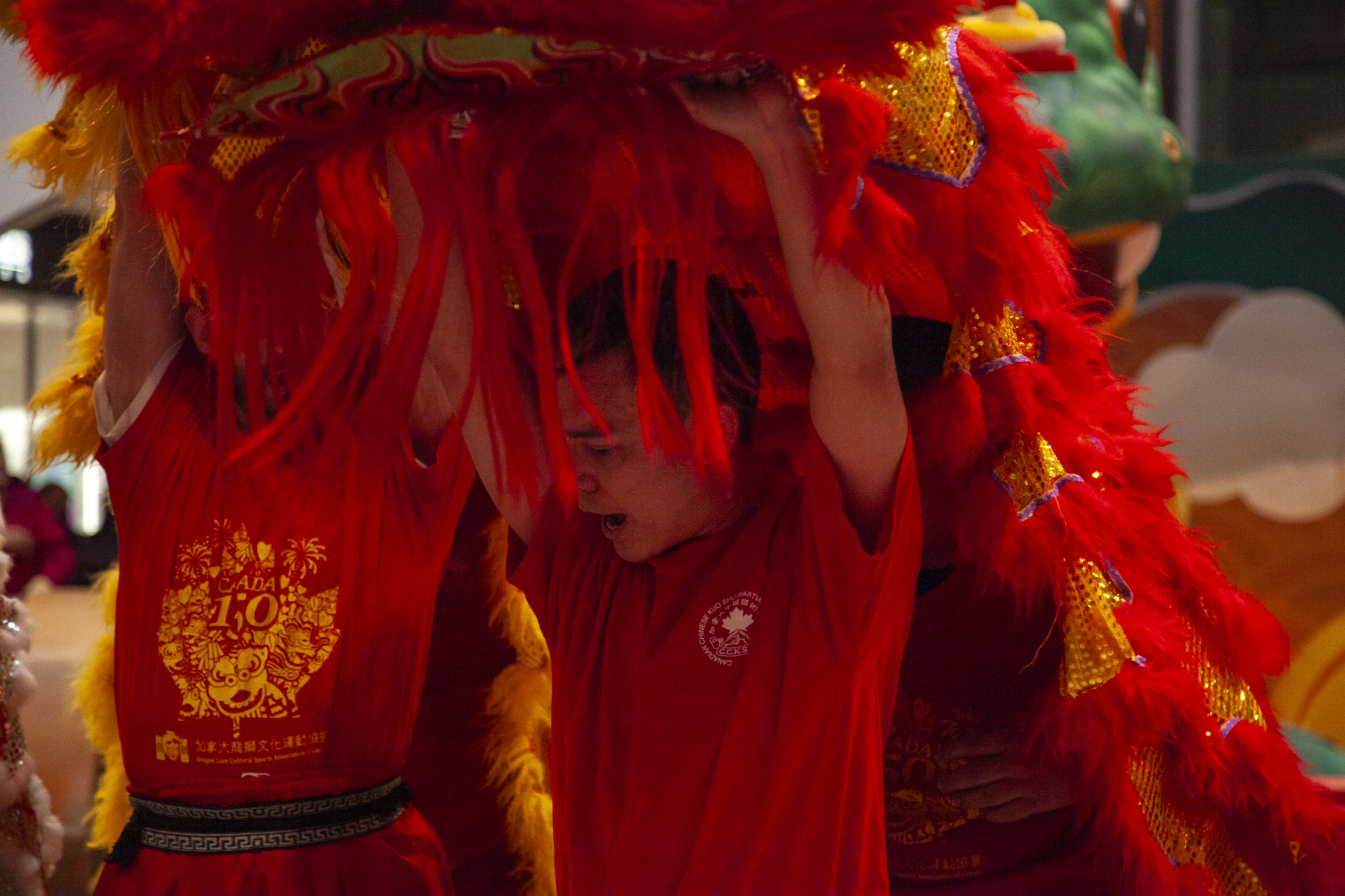 Leaping lion: The art, tradition and future of lion dancing – The Eyeopener