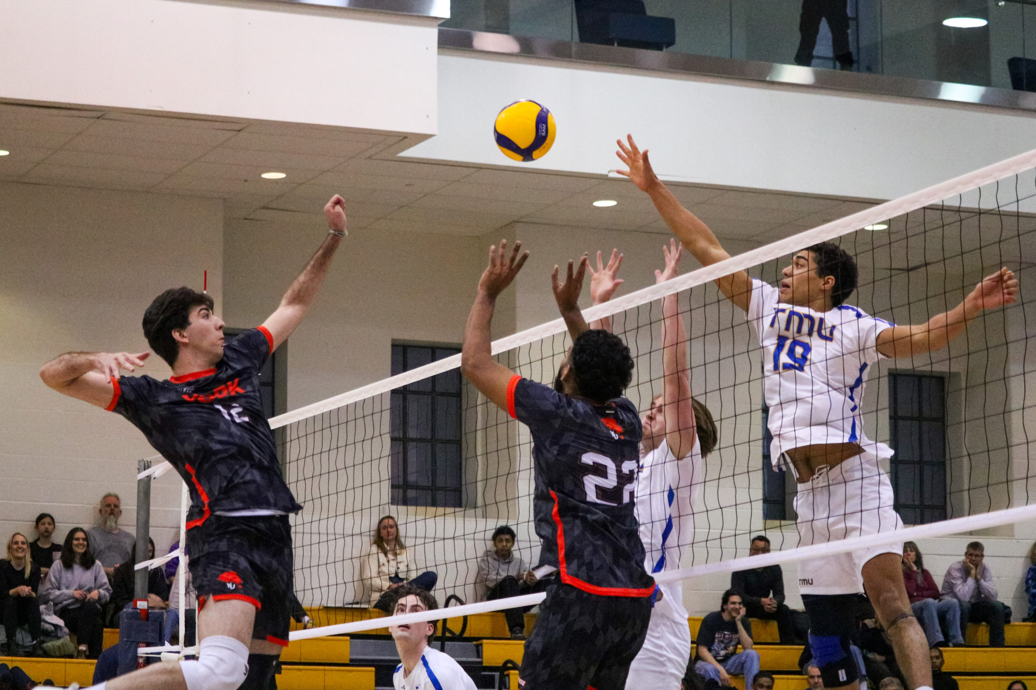 Bold return to class early with 3-1 loss to Lions – The Eyeopener